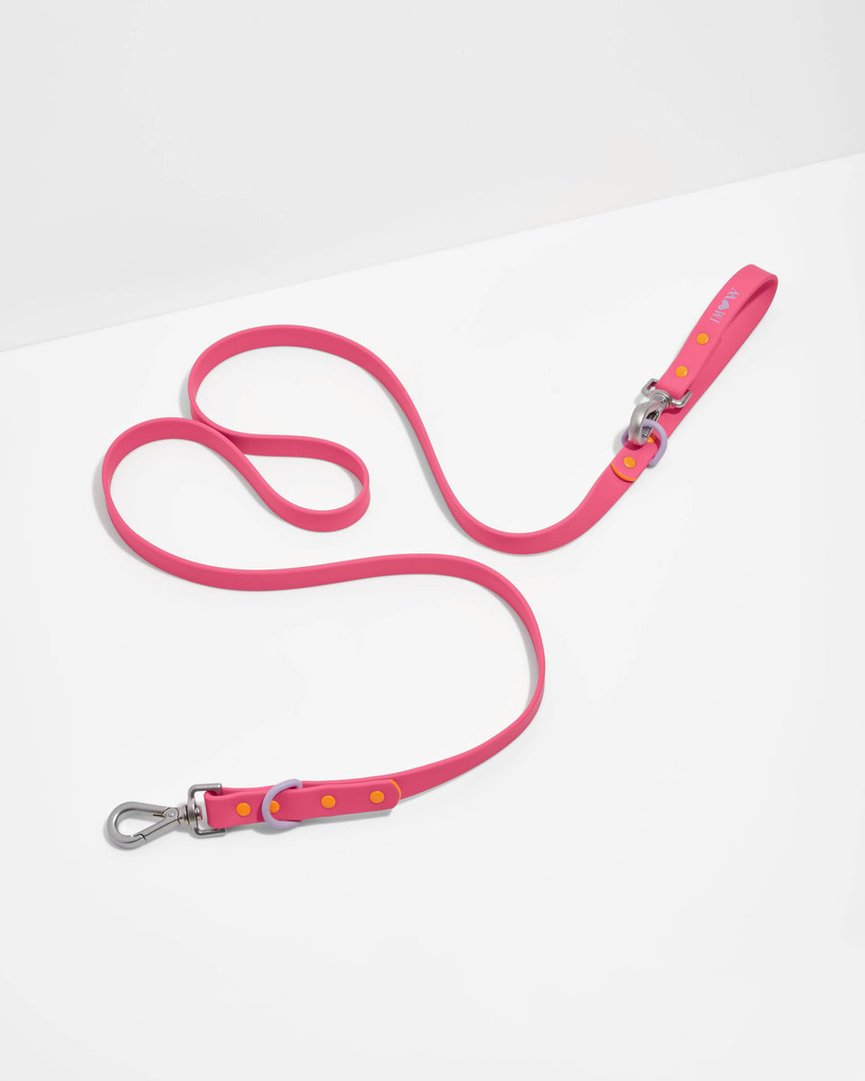 Isaac Cosmopolitan Pink Leash – The Wander Shop
